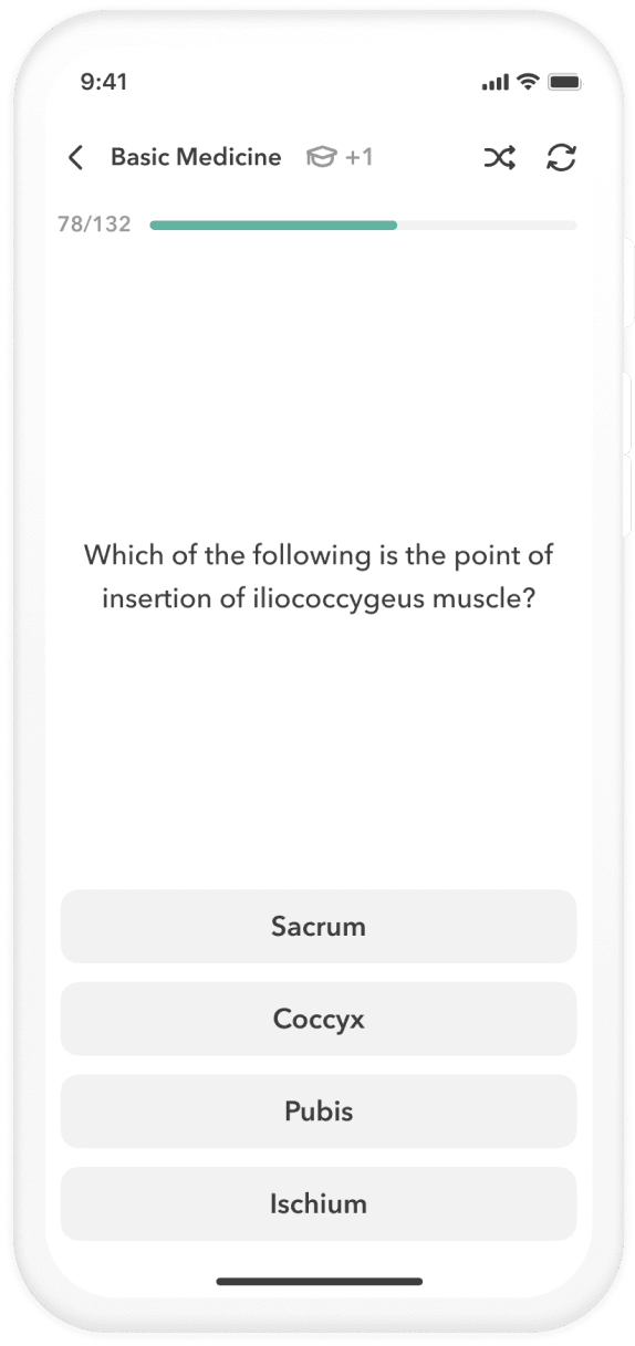 MEDizzy - Boost your medical knowledge! Learn, connect and have fun!