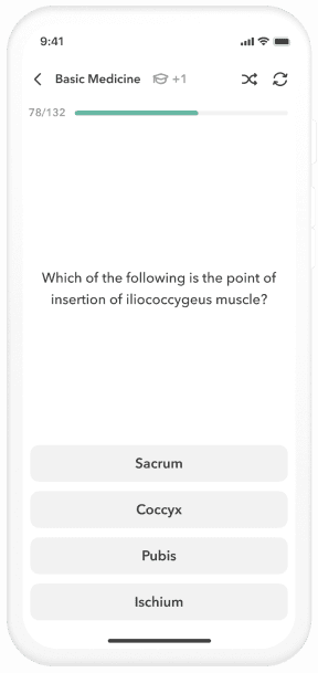 MEDizzy - Medical Universities